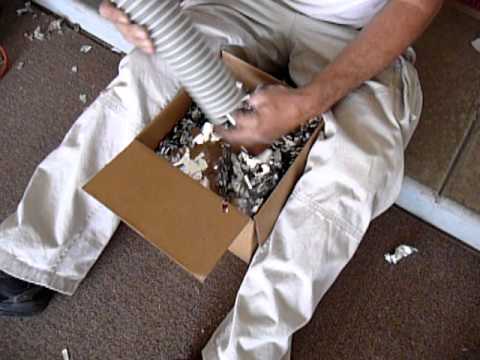 Loading RBS Chips - YouTube