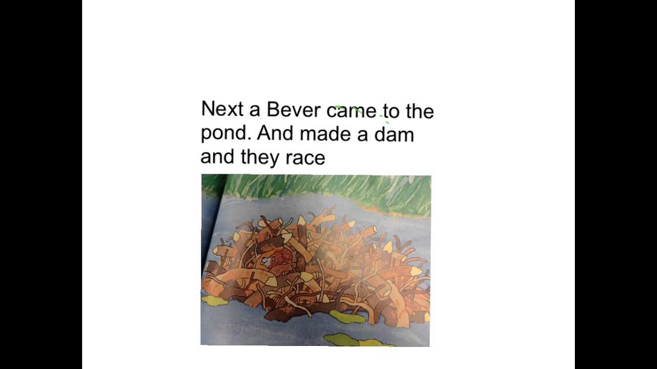 Turtle's race with. Beaver Logan - YouTube