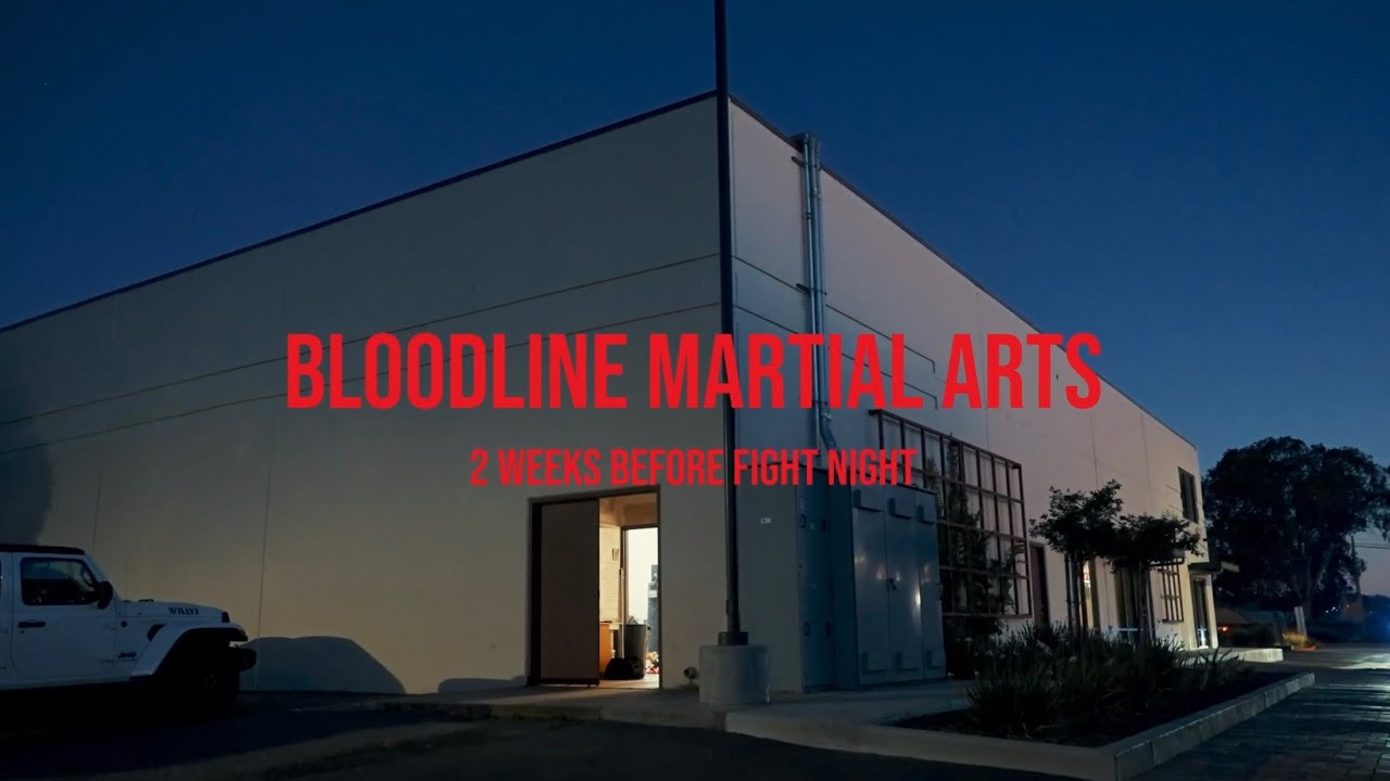 Episode 3 - The Collaboration/ Bloodline Martial Arts. Part 1. - YouTube