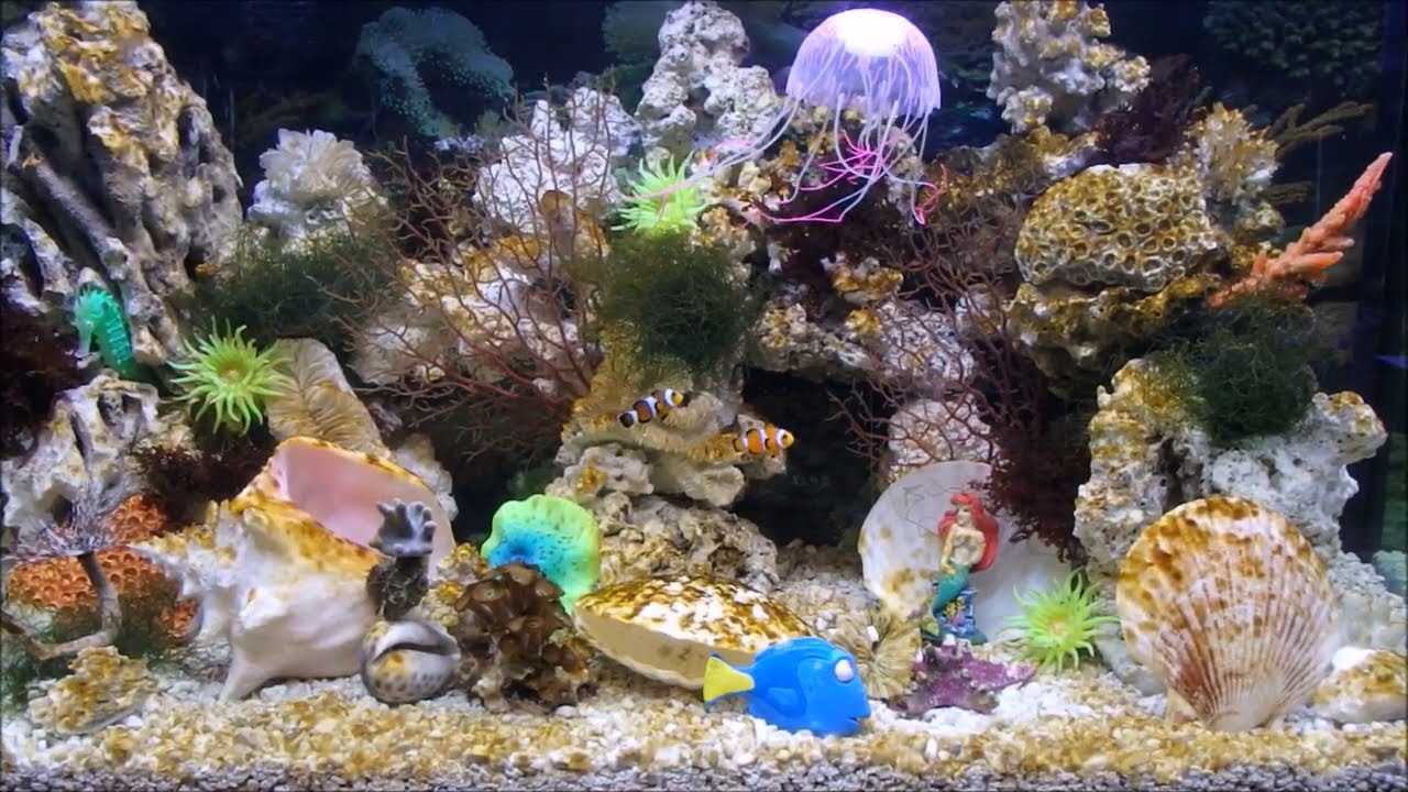AMAZING SEA CREATURES - YouTube