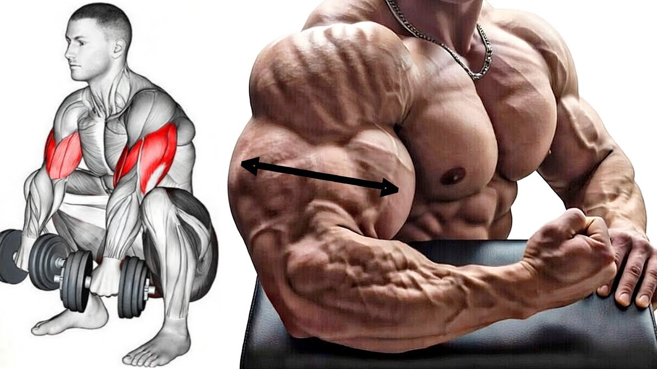 No More Small Arms! Superset Arm Workout for Biceps and Triceps Muscle ...