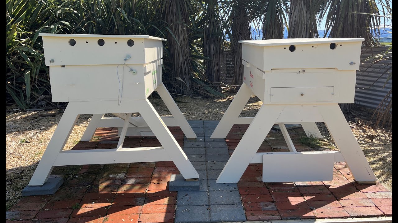 Horizontal Flow Hive - Hive inspections and update - YouTube