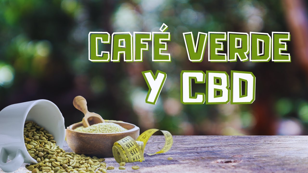 CAFÉ VERDE Y CBD | Beneficios del Café Verde y el Cannabis - YouTube