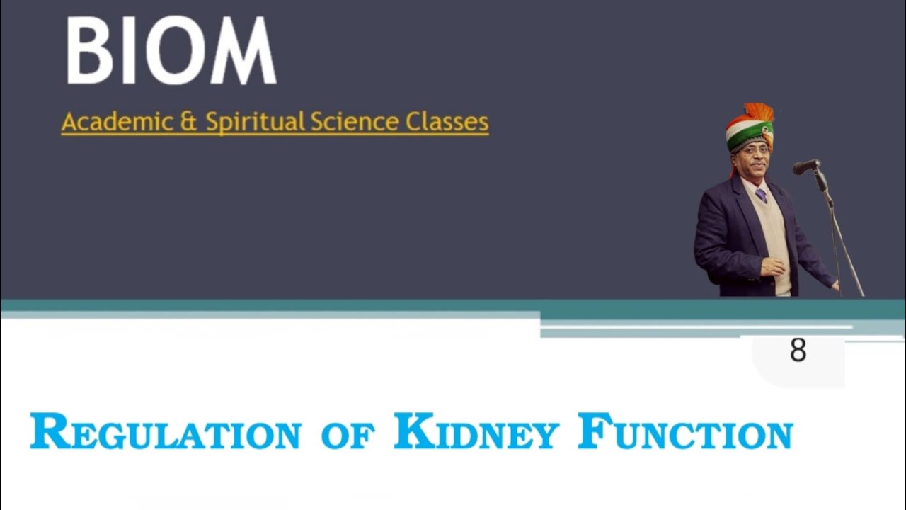 Regulation of kidney function class 11th and NEET. - YouTube