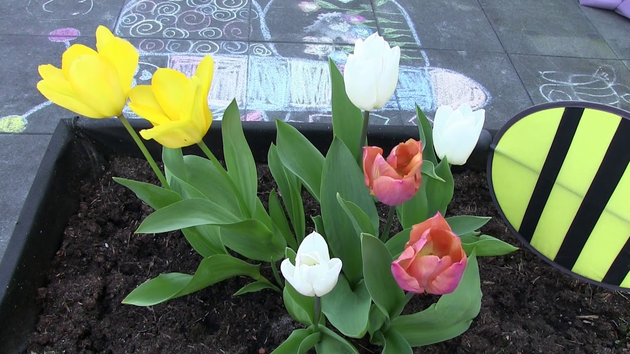 2020-04-09-Thea & Frans van Lith Leyenhof 9 4 '20 - YouTube