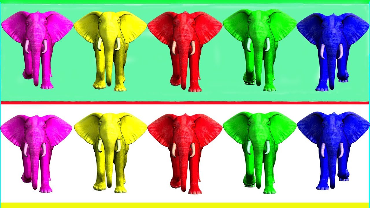 finger family elephant | finger family nursery rhymes for children and ...