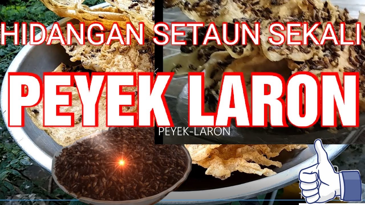 PECINTA LARON : CARA BIKIN PEYEK LARON KRIUK - YouTube