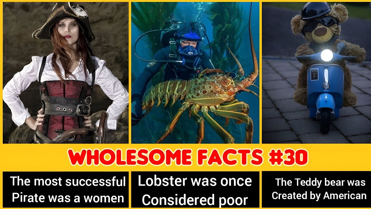 Did You Know Facts?? #30 | Amazing Random Facts You Should Know ...