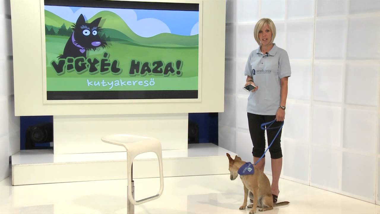 Vigyel Haza App Promo - YouTube