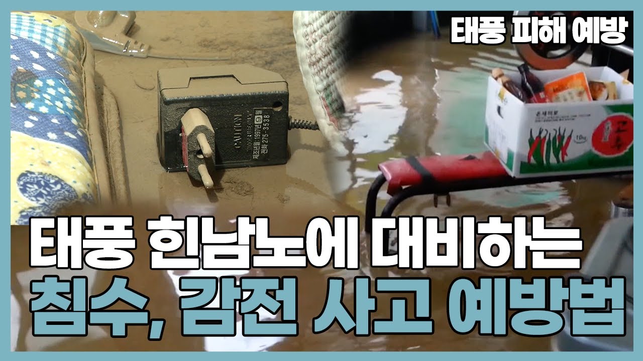 태풍 힌남노에 대비하는 침수 감전 사고 예방법 태풍 피해 예방 Youtube