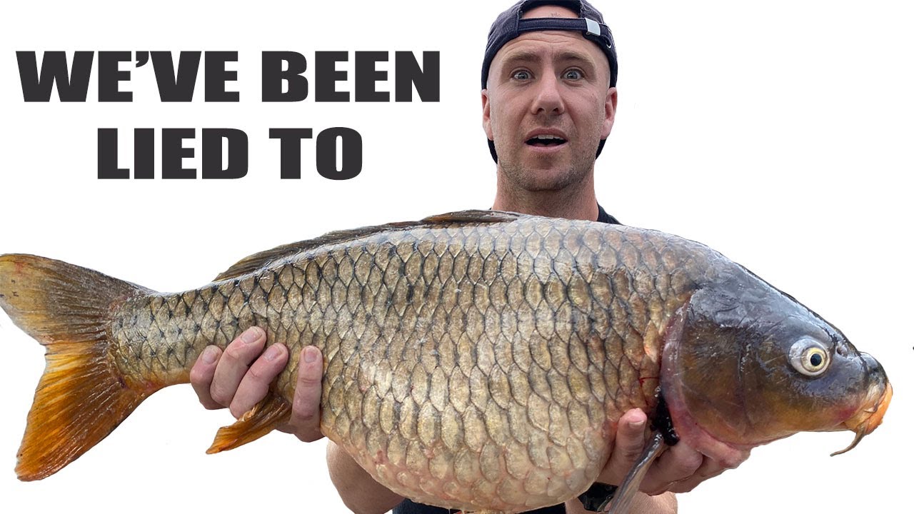 When you eat a CARP to see if it is actually disgusting? 🤢 - YouTube
