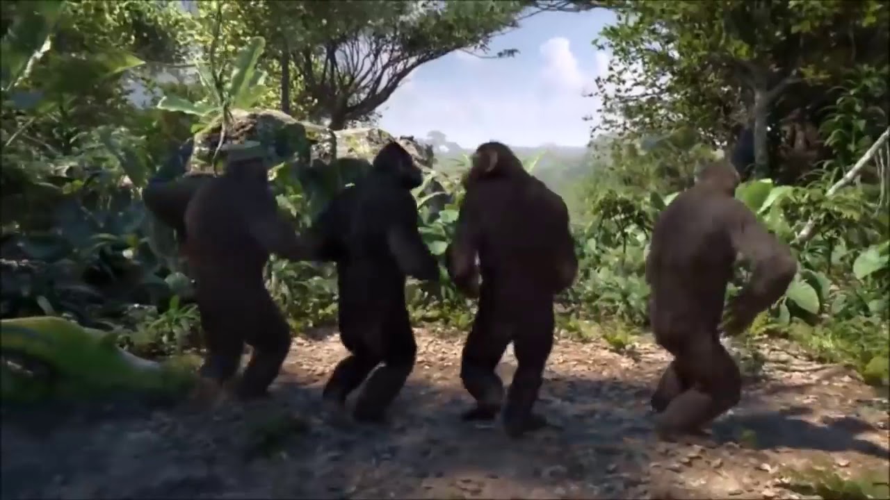 Monkeys dancing on dancing - YouTube