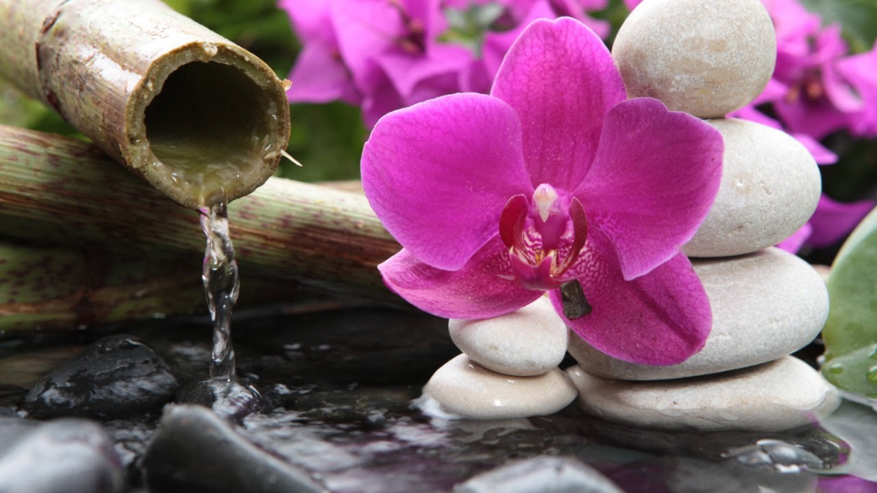 Spa Music for Aromatherapy: Meditation Relaxation, Massage Music, Bath ...