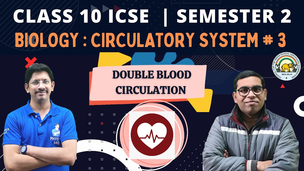 CLASS 10 ICSE | CIRCULATORY SYSTEM # 3 | DOUBLE BLOOD CIRCULATION ...