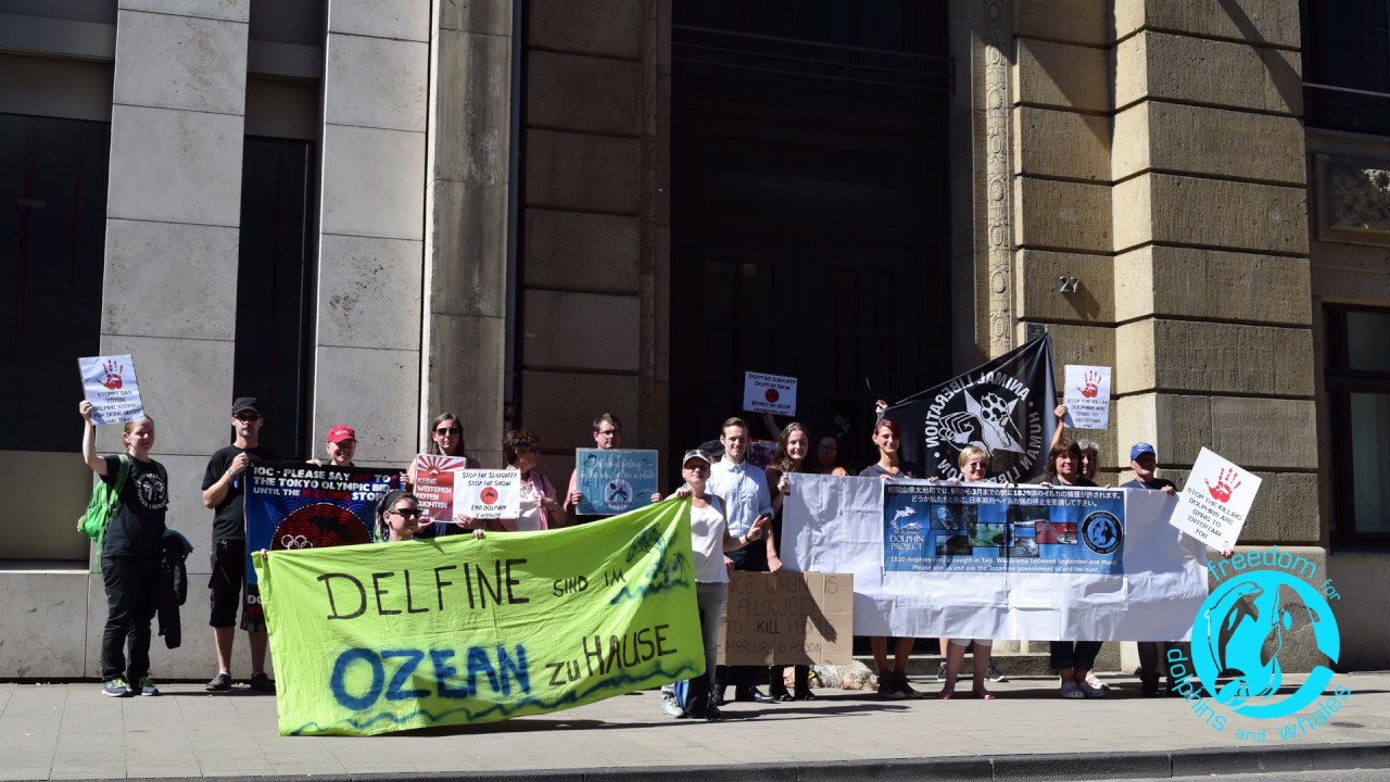 Japan Dolphins Day 2016 - Duesseldorf, Germany - YouTube