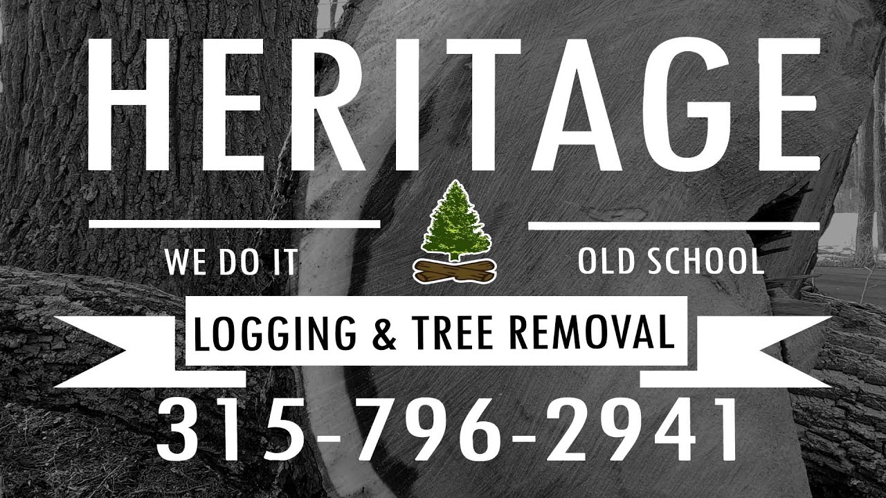 AMAZING tree service at work (Heritage Logging and Tree Services) - YouTube