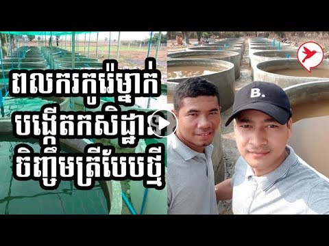 https://vk.com/networklegend HACK YOU Sa Thoura ចិញ្ចឹមត្រីបែបថ្មី ទិន្នផលច្រើន ចំណាយដីតិច ...