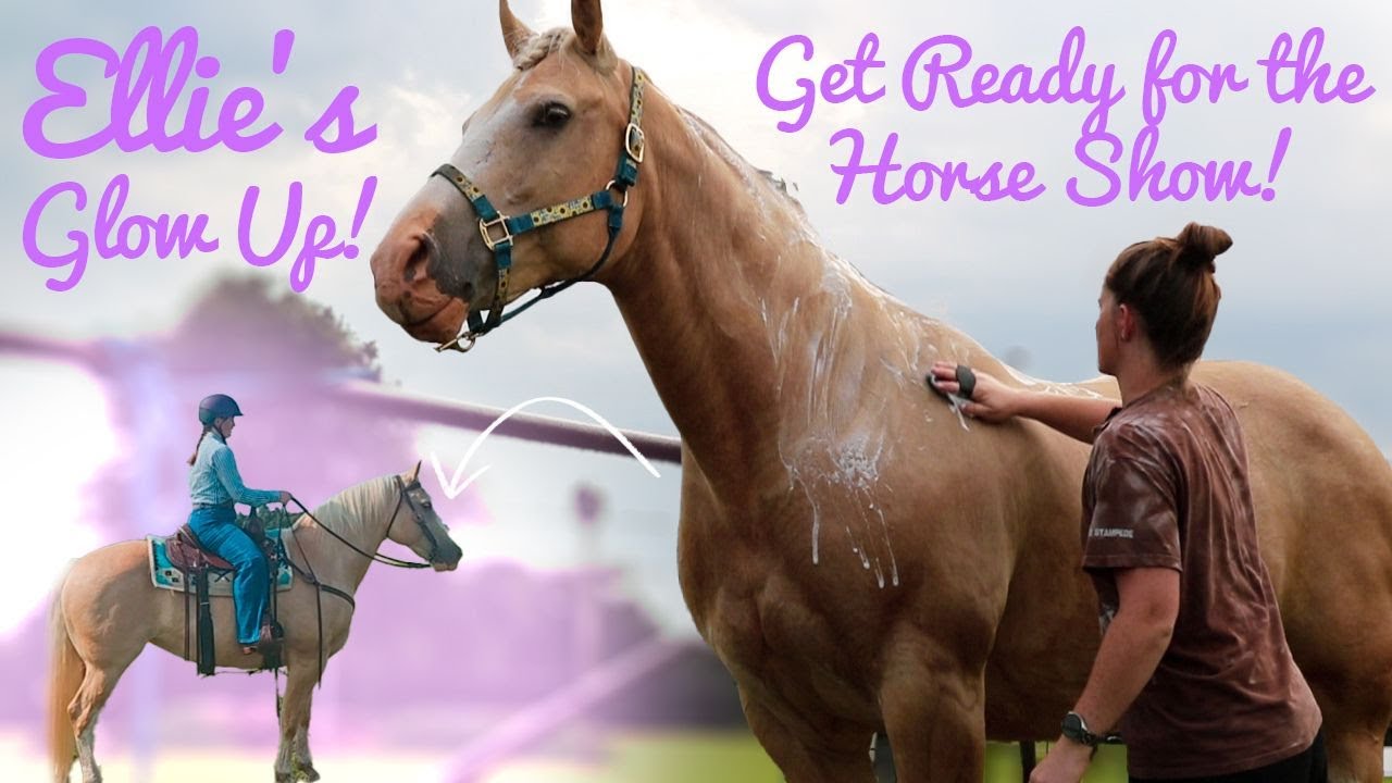 Horse Show vlog: Ellie's Glow Up for Our Online Show - YouTube