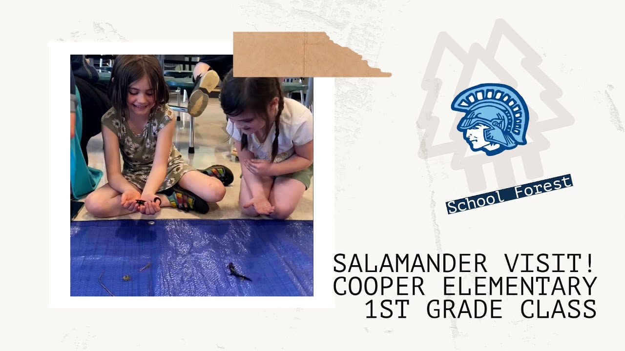 Cooper 1st Graders Get A Salamander Visit | School Forest | Superior ...