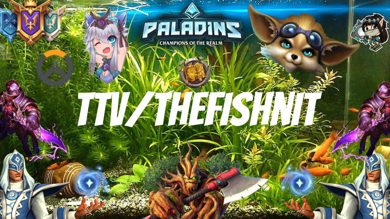 fishy fishnet moments - YouTube