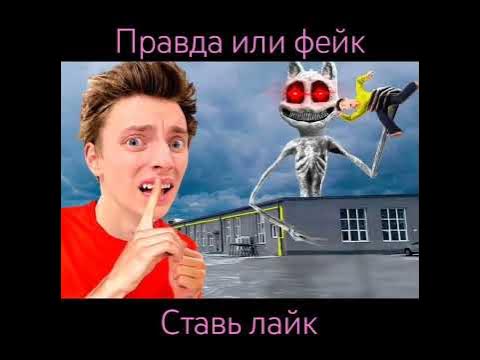 СИРЕНОГОЛОВЫЙ БЕЛЫЙ МУЛЬТЯШНЫЙ КОТ Нашел Ангар Влада А4 и напал на него ...