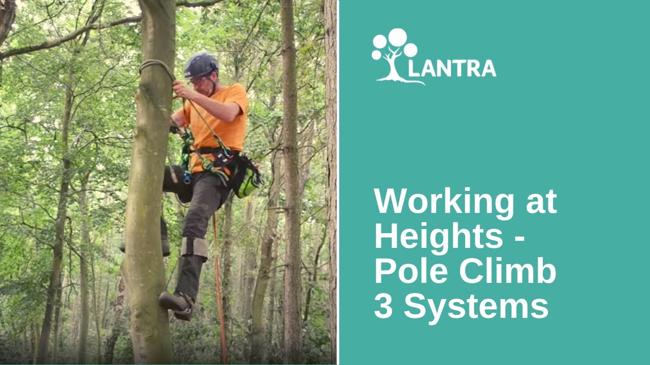 Working at Heights Compliance in Tree Climbing and Arb - 22) Pole Climb ...