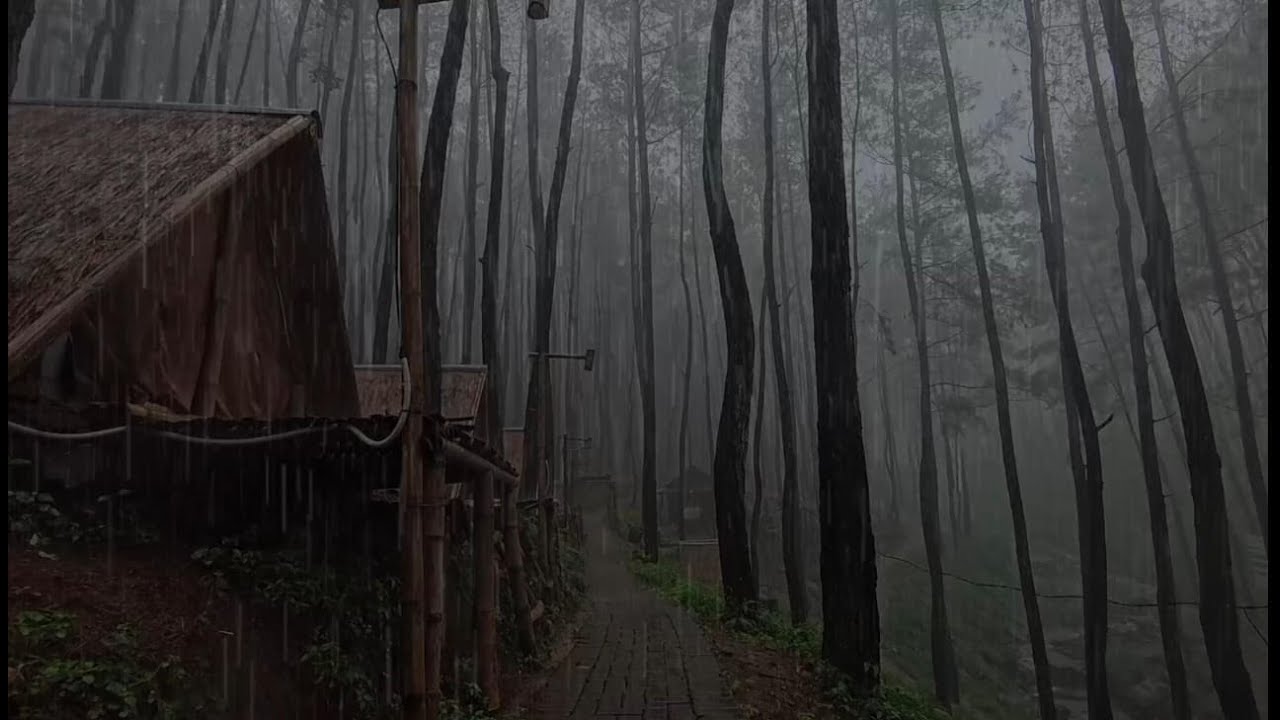 Heavy Rain and Thunderstorm Sounds for Sleeping: ASMR Rain Sounds for ...