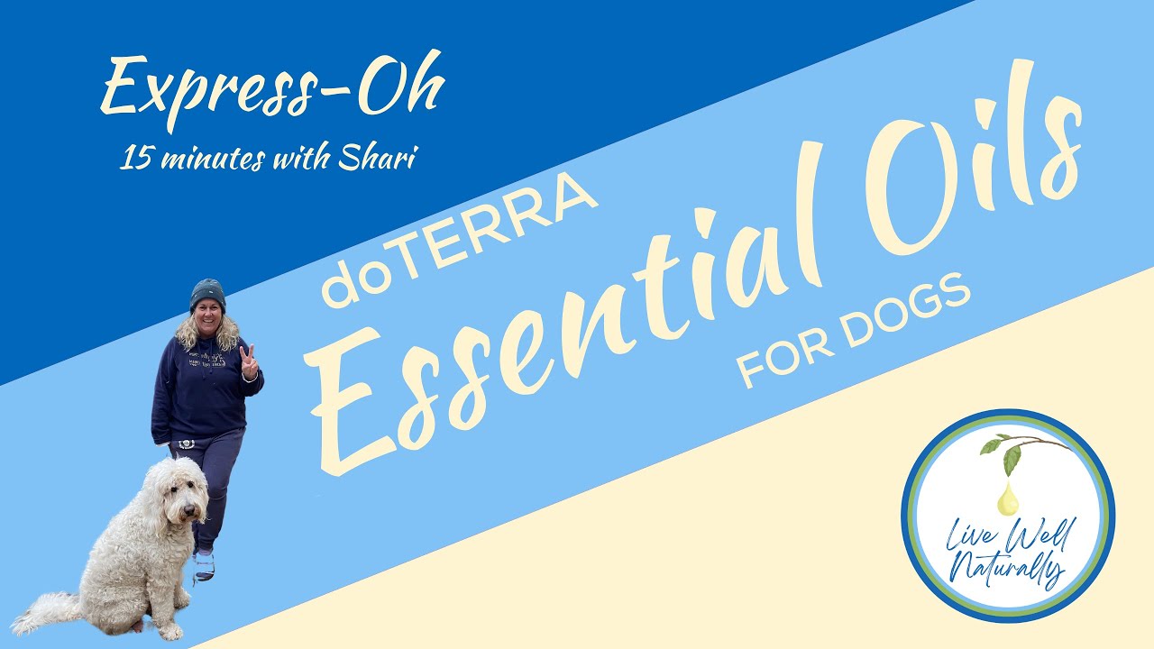 doTERRA Essential Oils for Dogs - YouTube