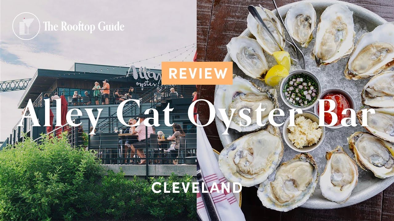 Alley Cat Oyster Bar in Cleveland - Review - YouTube