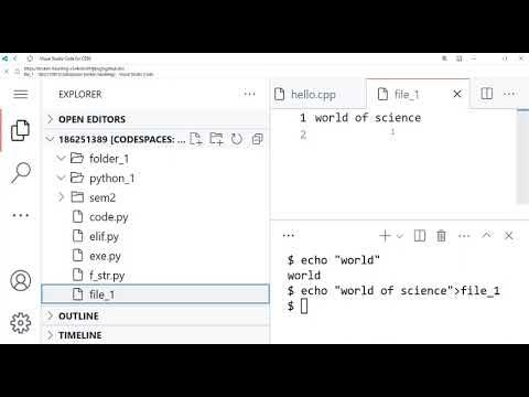 Echo, C-prgm, python-prgm - YouTube