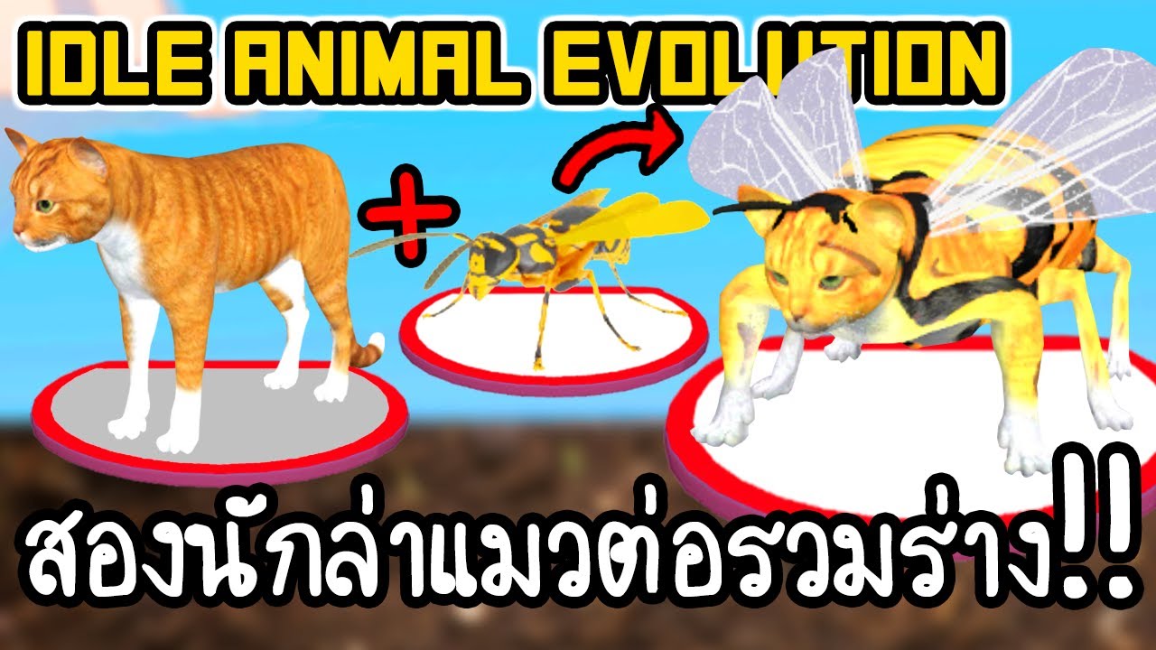 Idle Animal Evolution #3 - สองนักล่าแมวต่อรวมร่าง!! [ เกมส์มือถือ ...