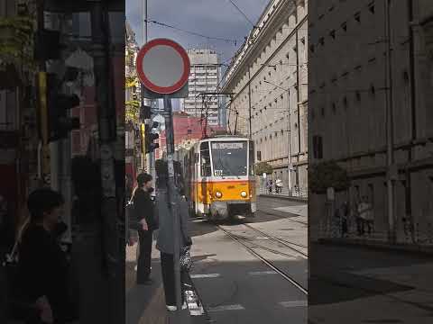 Bulgarian tram stops, slowing pedestrians to cross this busy Sofia road ...
