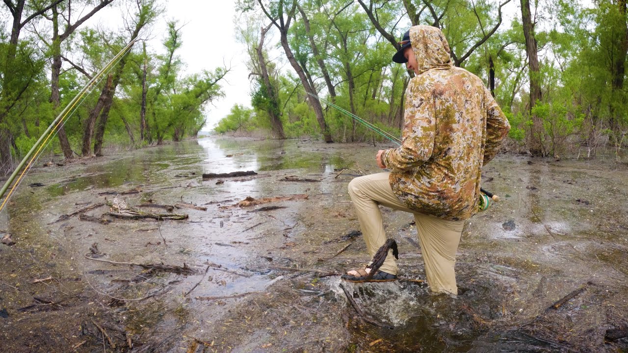 Electric Flooded Roadside Shortnose Gar On The Fly (Oklahoma 2024 ...