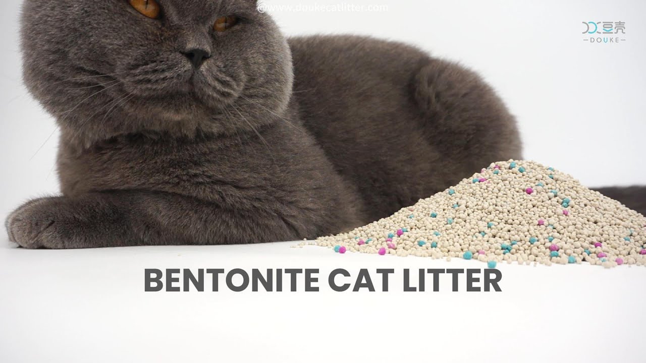 How many kinds of mineral cat litter for kittens? - YouTube