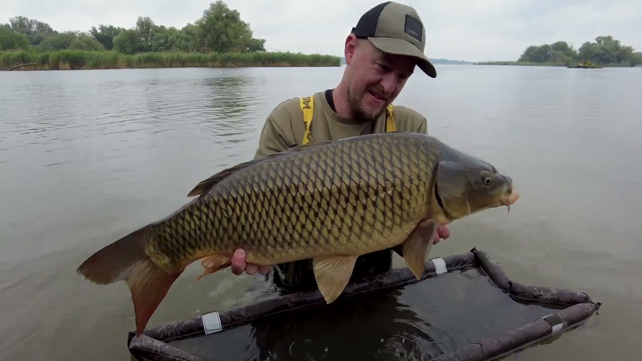 Lov kapra z lode VN Kráľová (Boat carp fishing VN Kráľová) - YouTube