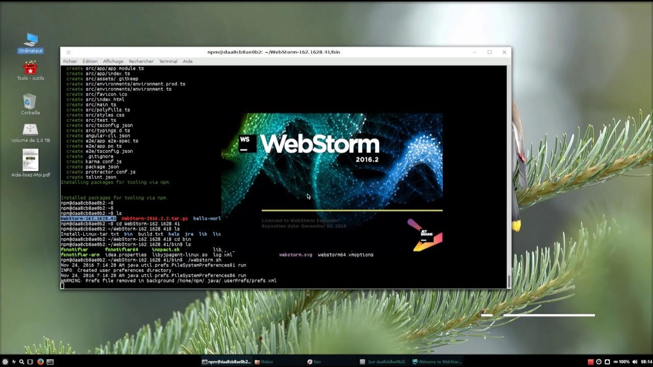 hello world Angular Docker npm Webstorm - YouTube
