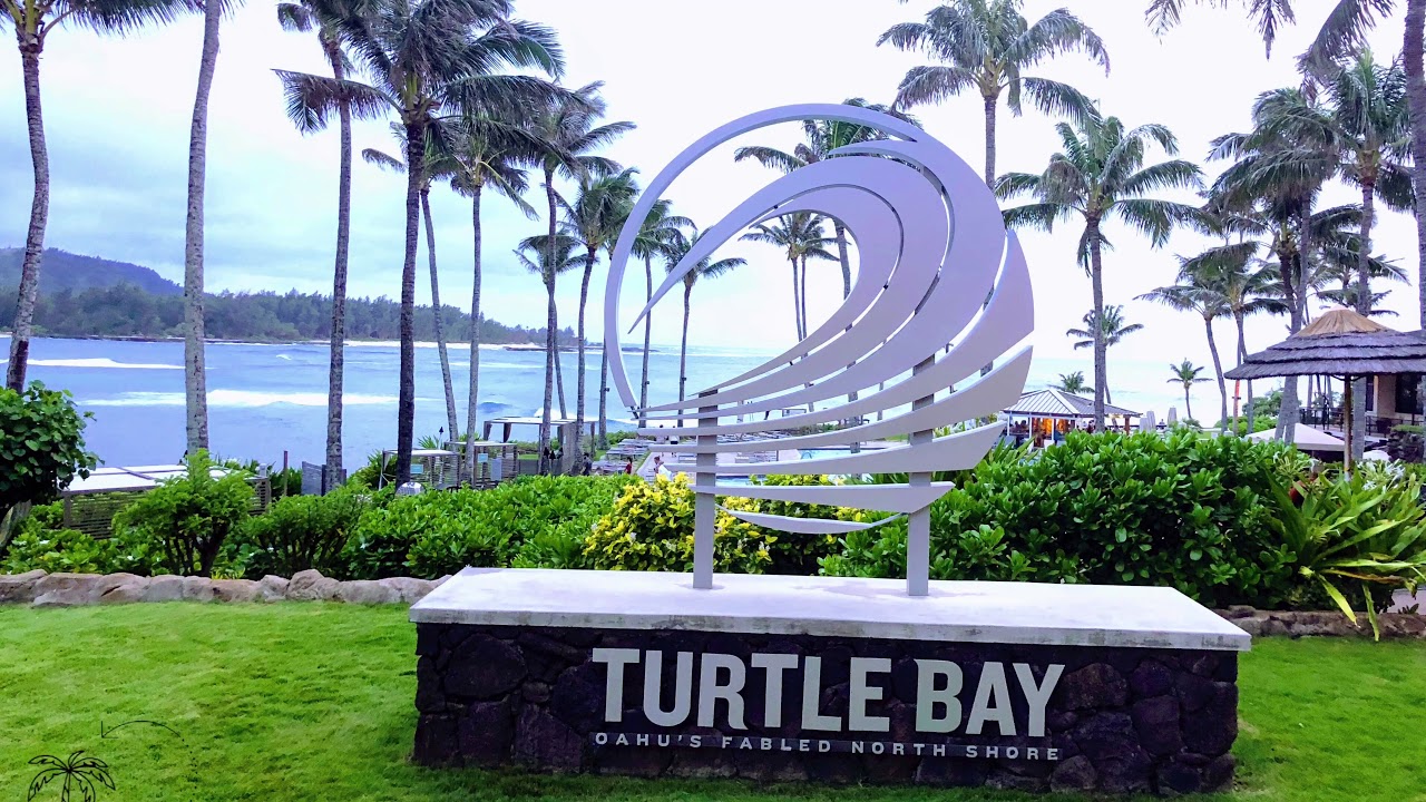 Turtle Bay - YouTube