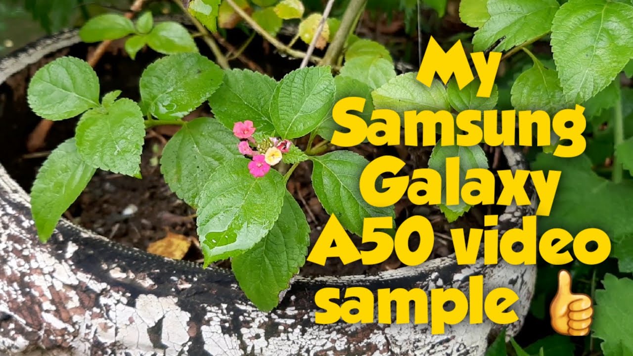 My Samsung galaxy A50 video sample! 👍