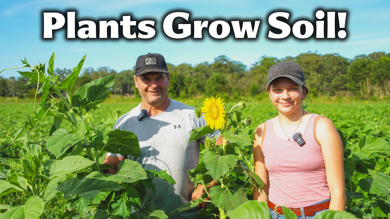 He Turned Rock Hard Dirt Into Rich Fluffy Soil Using Multispecies Crops ...