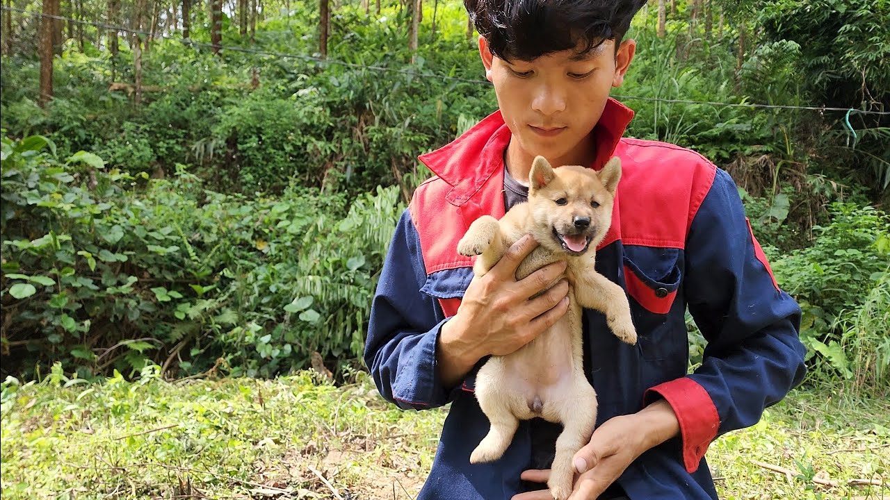 Preparing for the plan to build a new farm, Building Life, Episode 150 ...