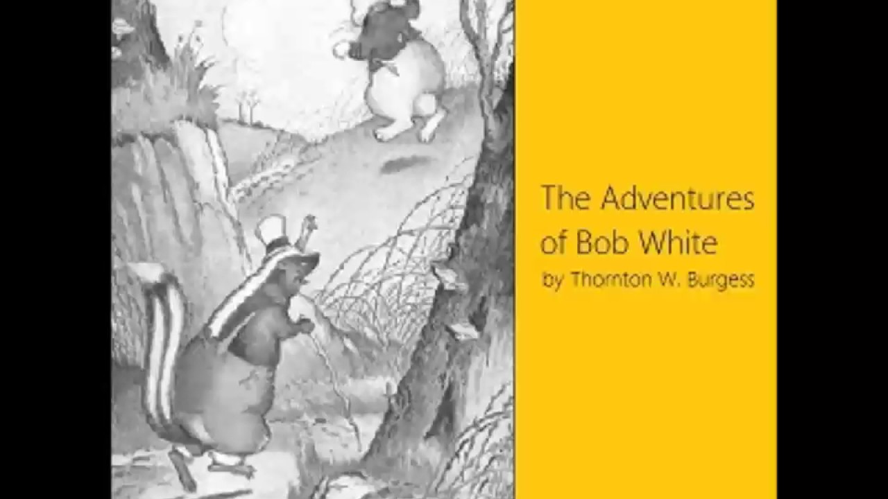 The Adventures of Bob White (FULL Audiobook) - YouTube