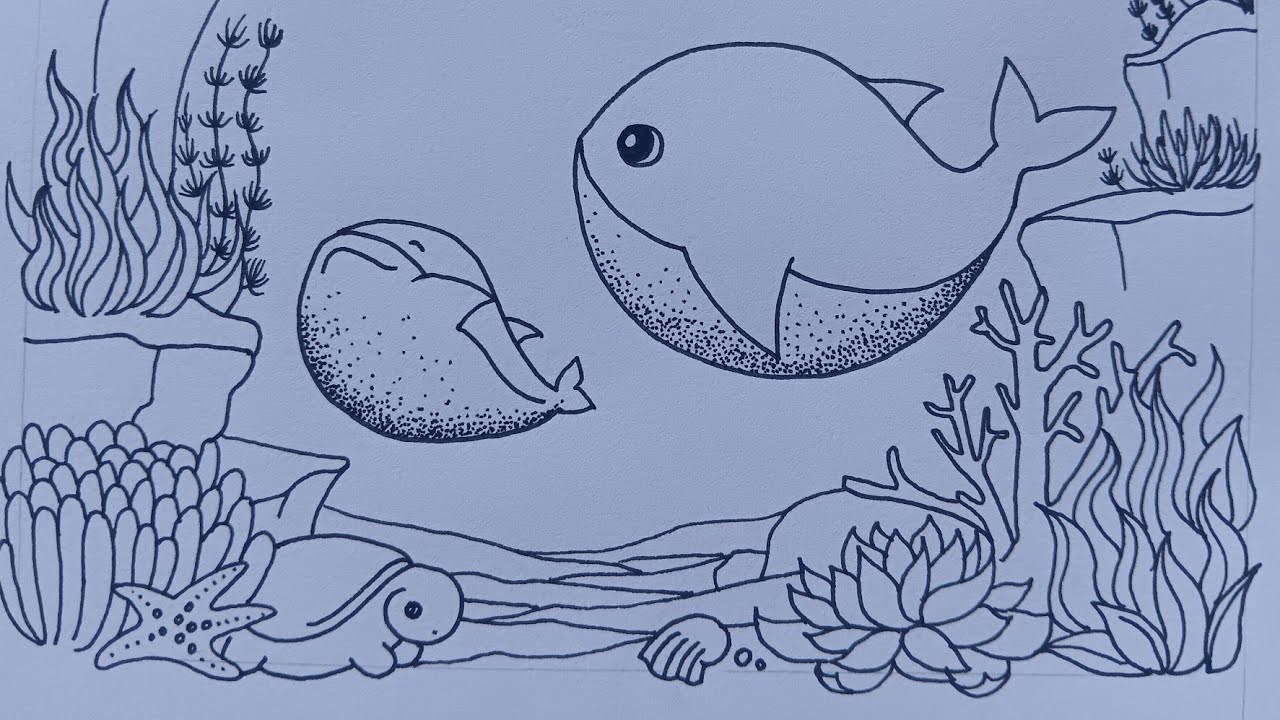 How to draw a scene : Marine ecosystem 🪸 - YouTube
