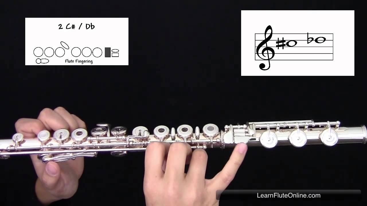 How To Play The Note C Sharp D Flat C Db On Flute Learn Flute Online