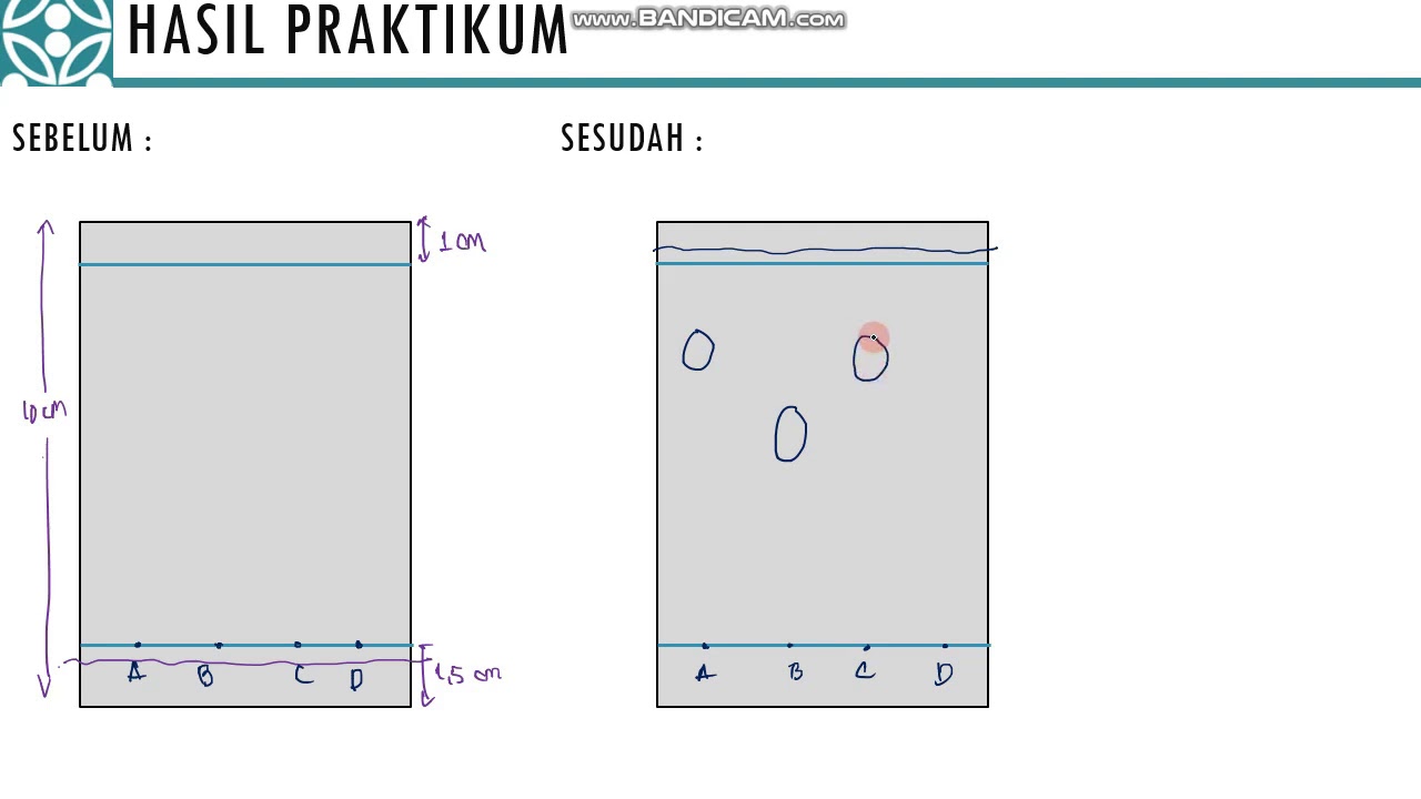 Penjelasan Praktikum Analisis Kualitatif Metode Kromatografi Lapis ...