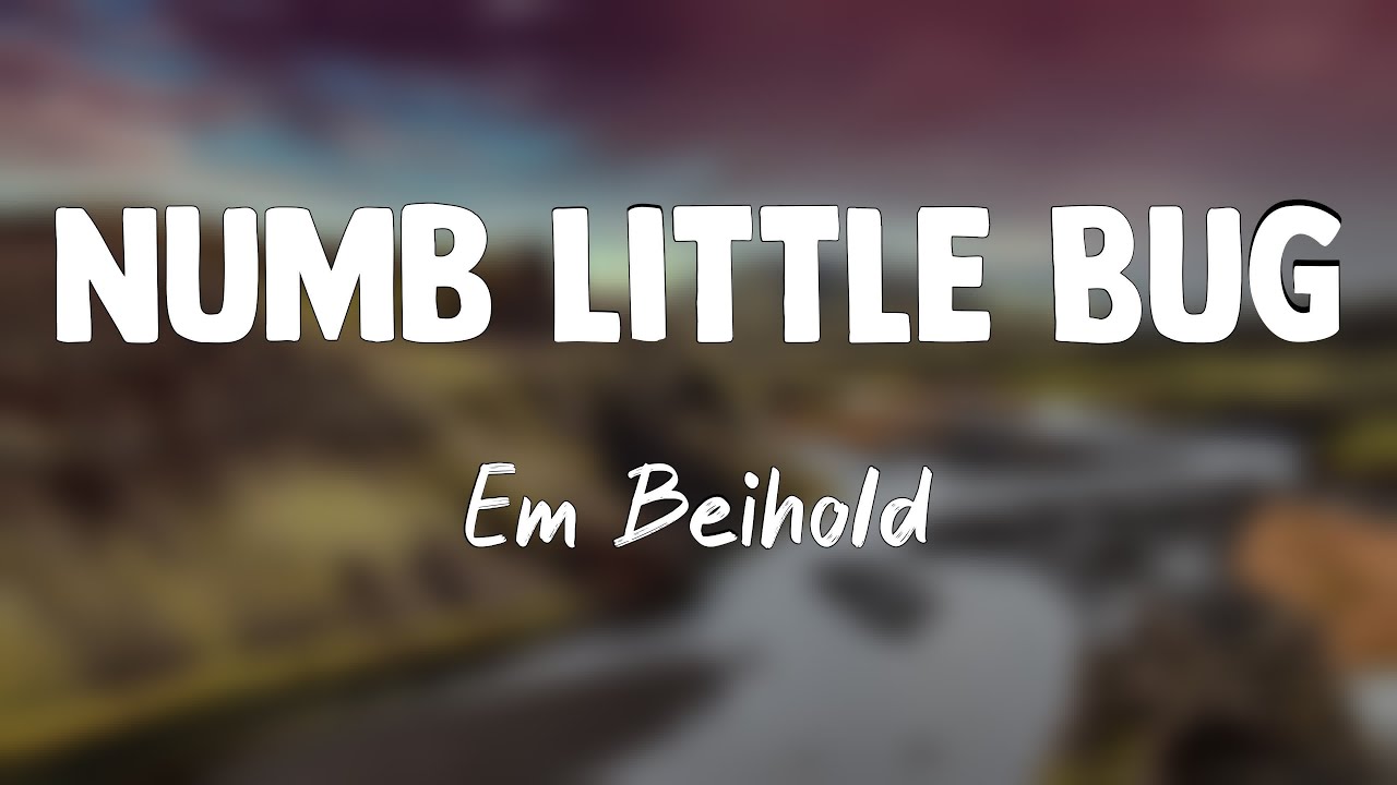 Numb Little Bug - Em Beihold {Lyrics Video} 🎻 - YouTube