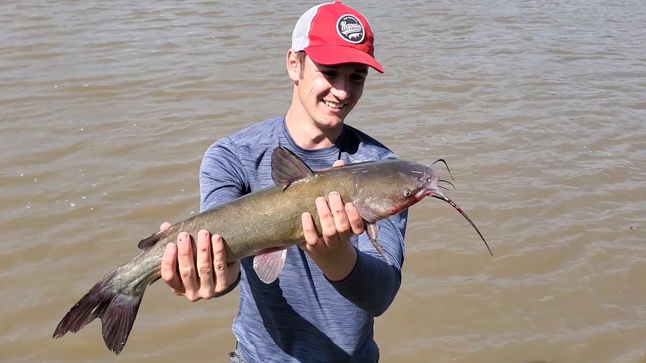 Vlog#23 master angler cat - YouTube