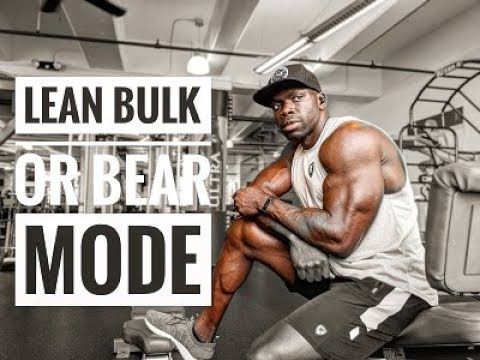 LEAN BULK OR BEAR MODE - YouTube