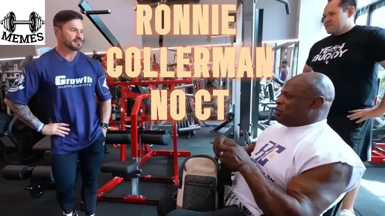 HALTERE MEMES COMPILAÇÃO V1 - YouTube