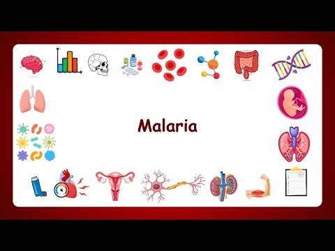 Malaria in 60 Seconds: Key Facts You Need to Know - YouTube
