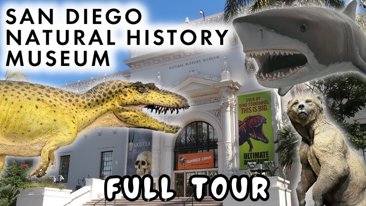 SAN DIEGO NATURAL HISTORY MUSEUM : Full Tour of Every Exhibit - Dinosaurs, Skulls, Reptiles ...